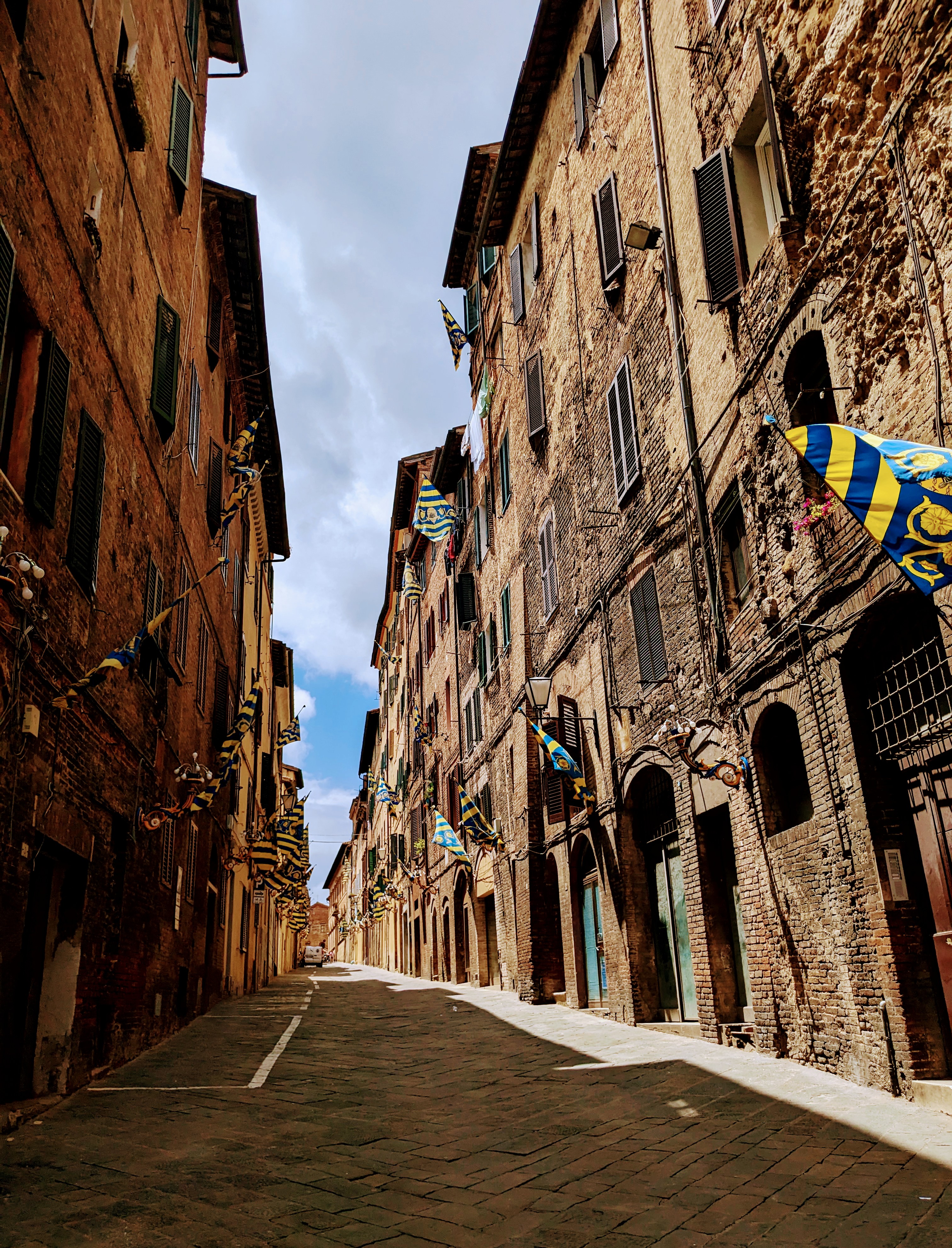“Flags of Sienna” by Rachel Turney – The Orange Rose